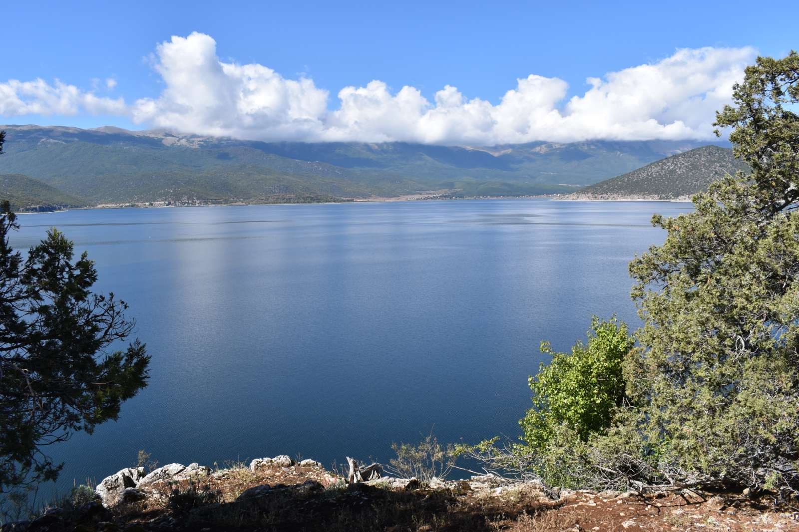 One-Day Wild Team-Building Trips to Golem Grad Island - Kajak.mk