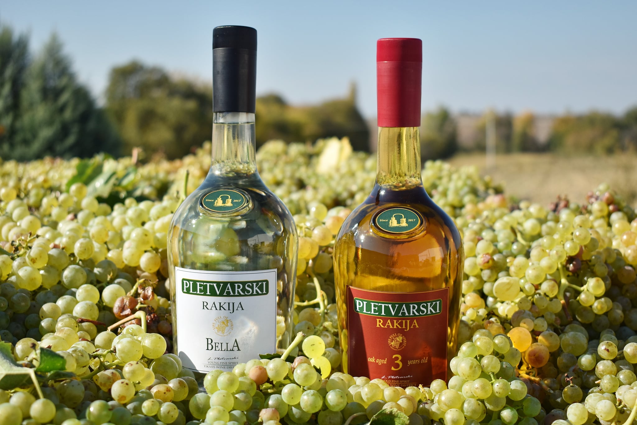 Another Chapter in the Macedonian Wine Story: The Rise of a Boutique ...