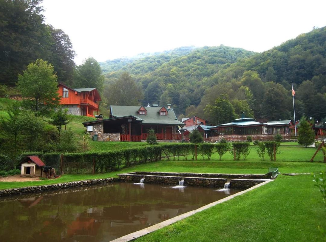 Discover Bela Voda: The Culinary Gem of Eastern Macedonia - Kajak.mk