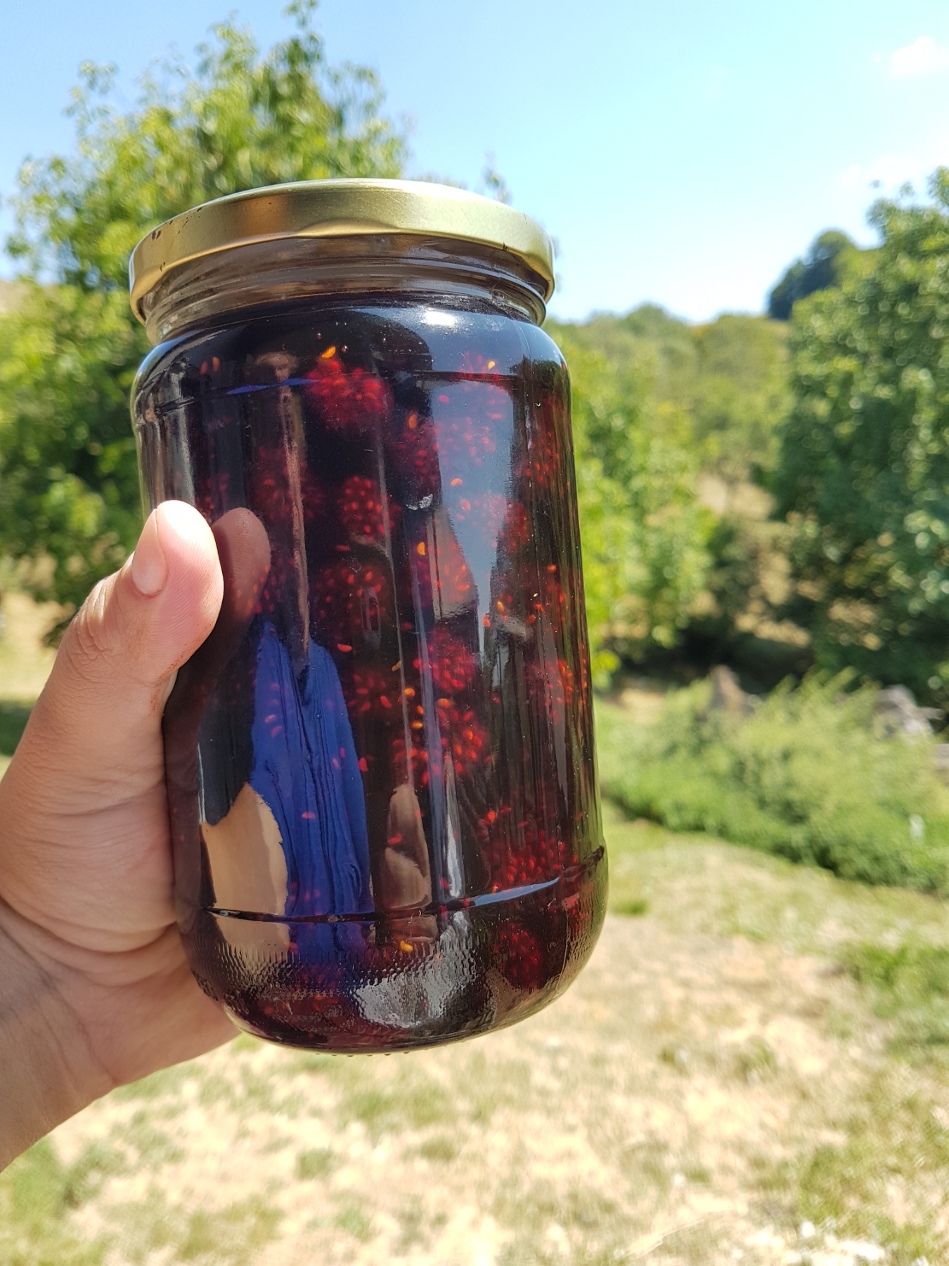 Replacing Skopje with Berovo and Its Nature: The Story of Dushica, the ...